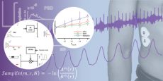 Biomedical signal processing and interpretation - Institute for ...
