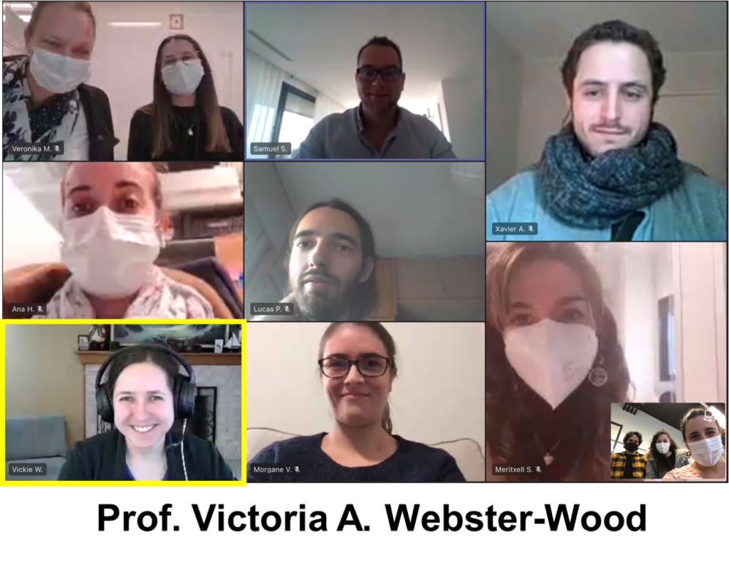 Smart nano-bio-devices - Institute for Bioengineering of Catalonia