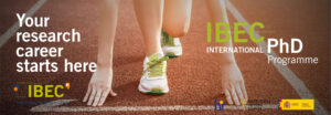 IBEC International PhD Programme fellowships - Institute for ...