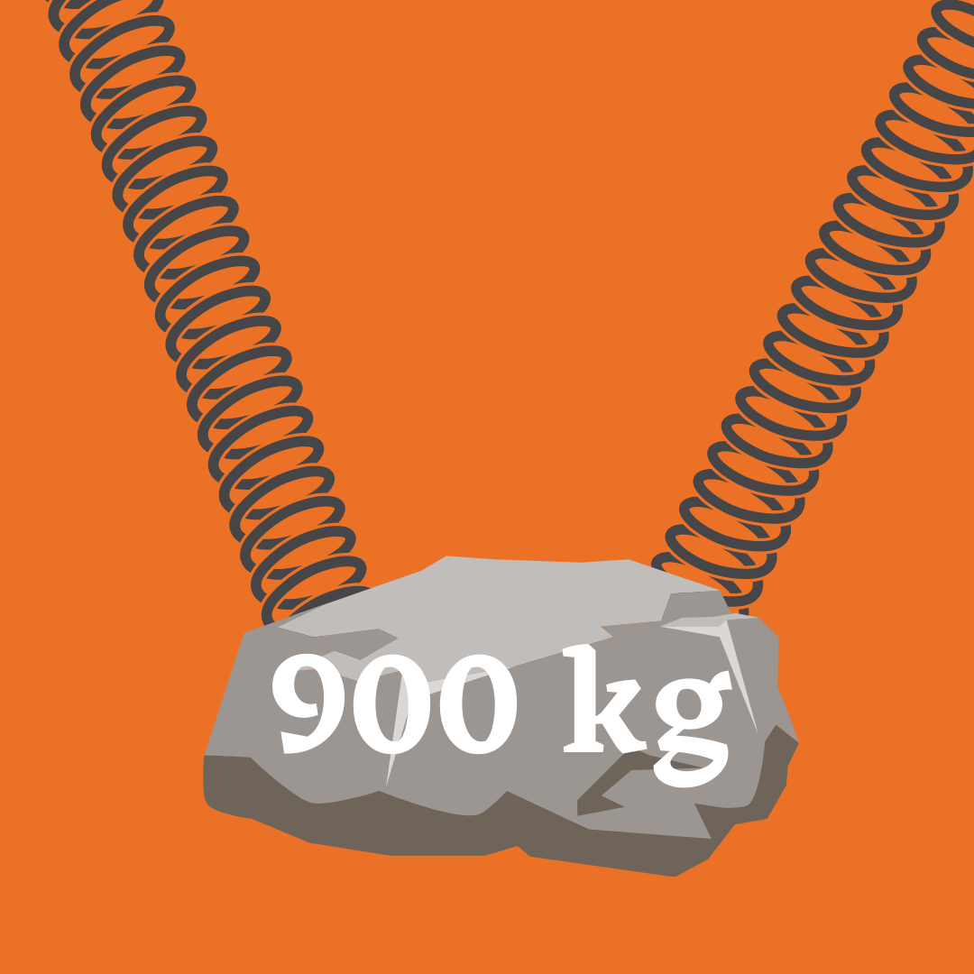 A 900kg stone is a perfect place to rest - Institute for Bioengineering ...