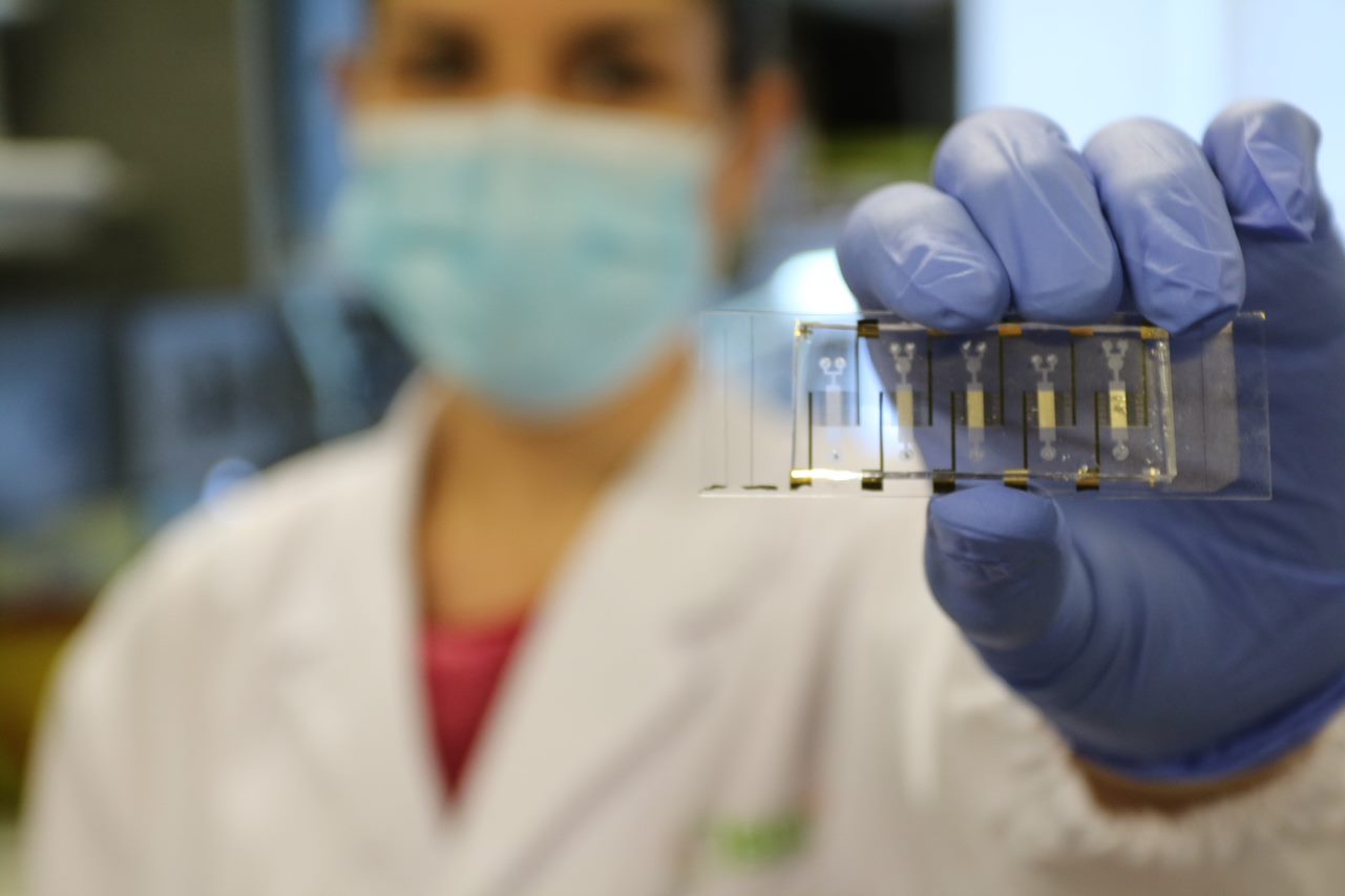 A chip against chronic bacterial infections - Institute for ...