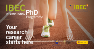 IBEC International PhD Programme fellowships - Institute for ...