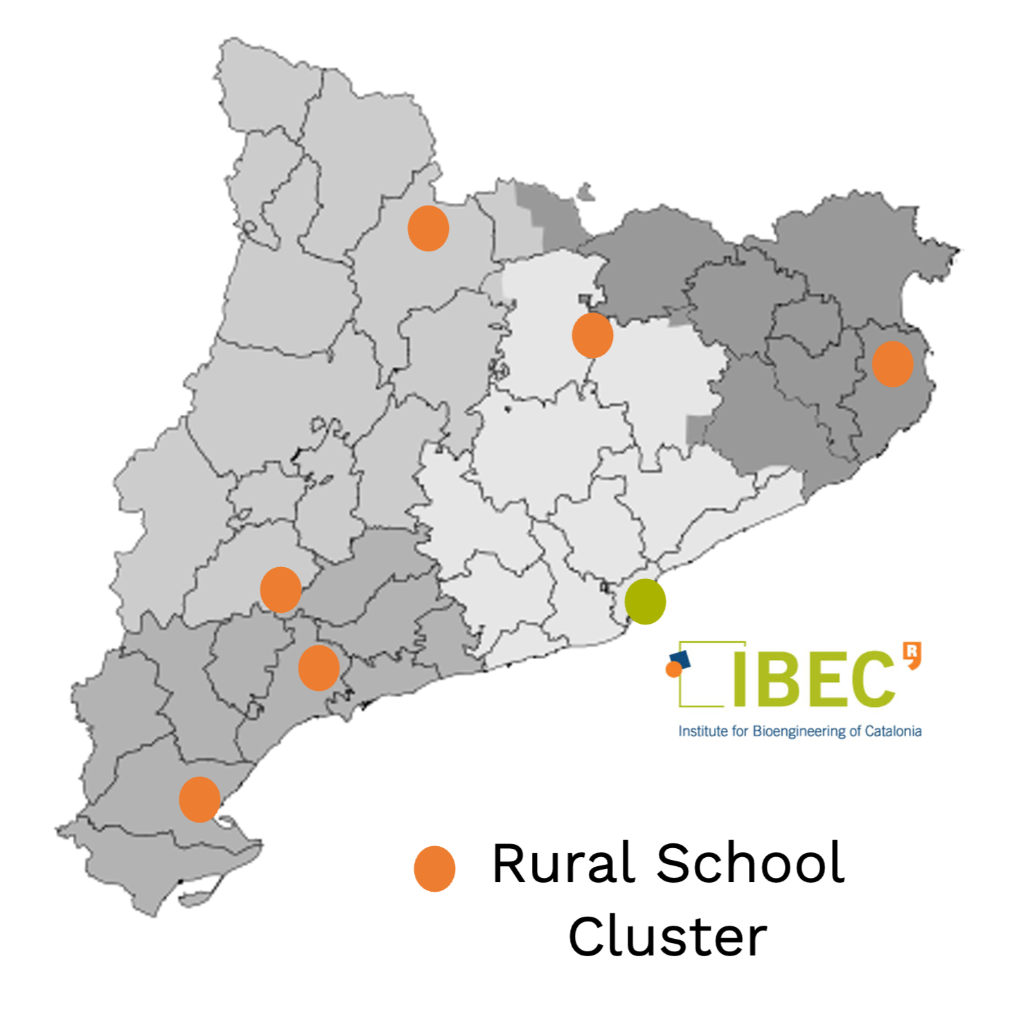 Science Education - Institute for Bioengineering of Catalonia