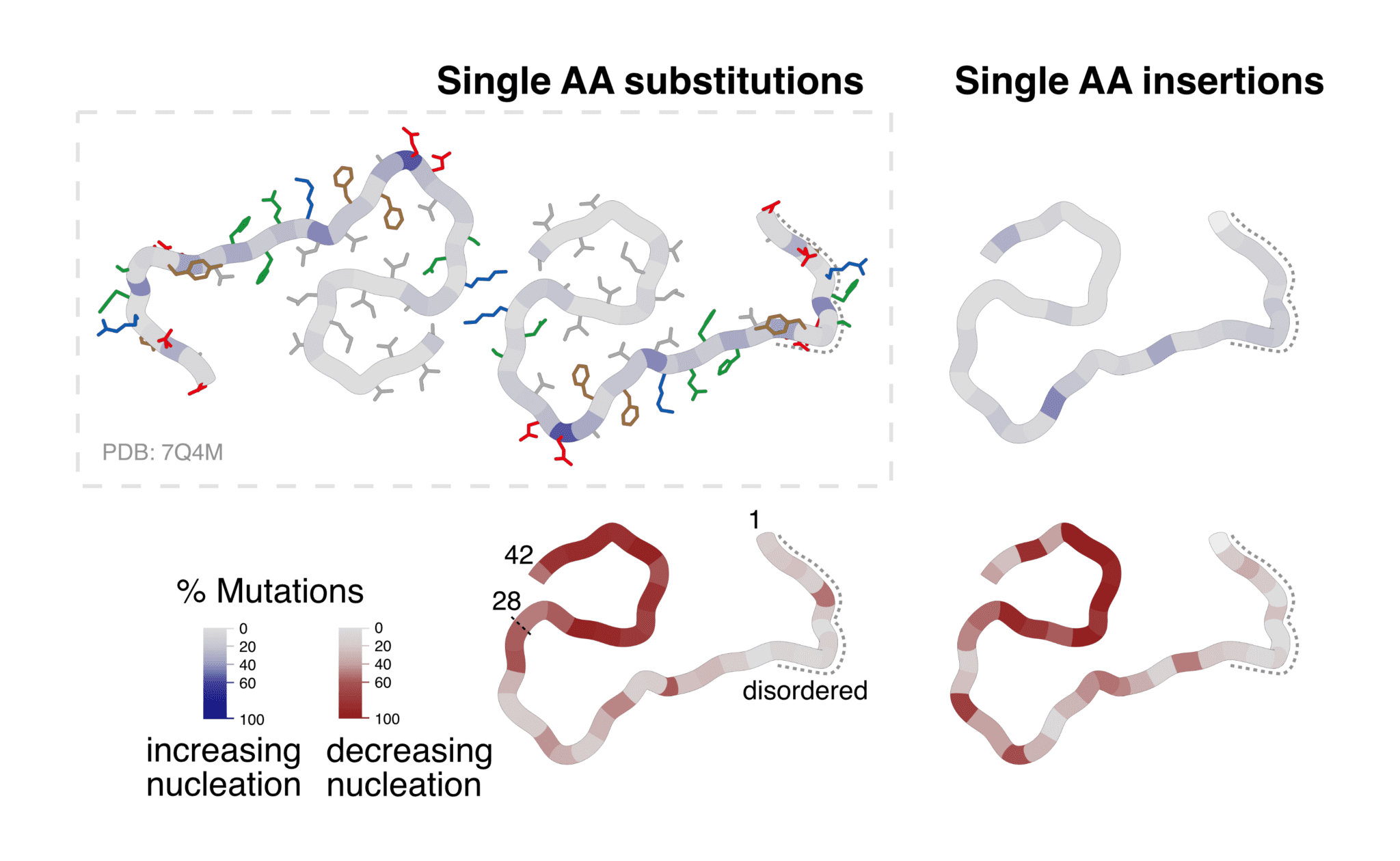 Protein Phase Transitions in Health and Disease - Institute for ...
