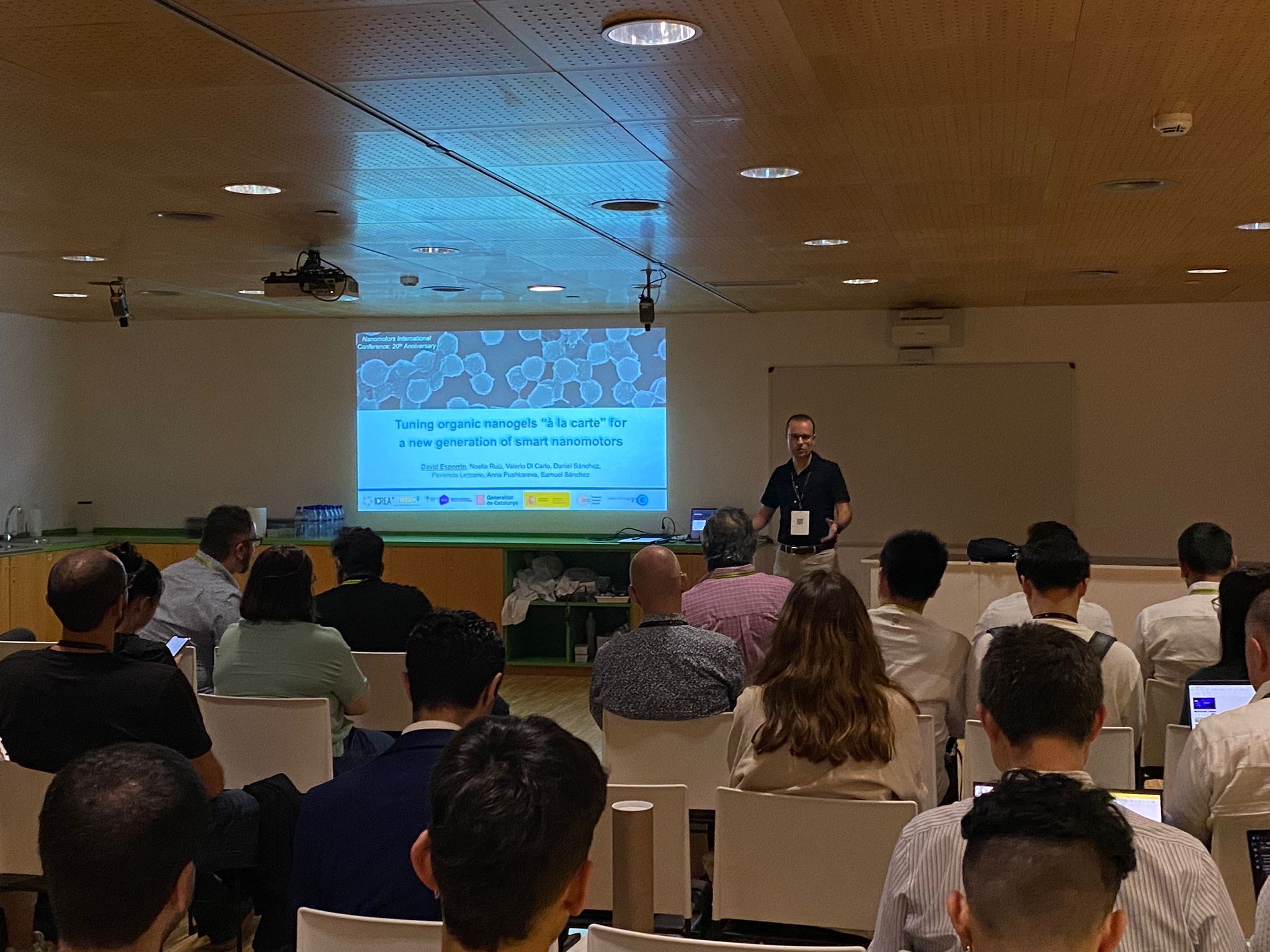 Smart nano-bio-devices - Institute for Bioengineering of Catalonia