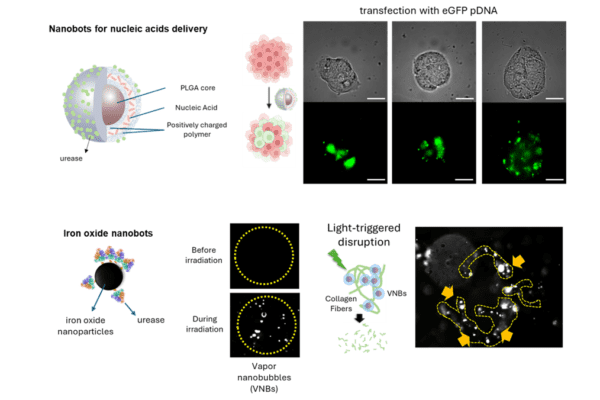 Smart nano-bio-devices - Institute for Bioengineering of Catalonia