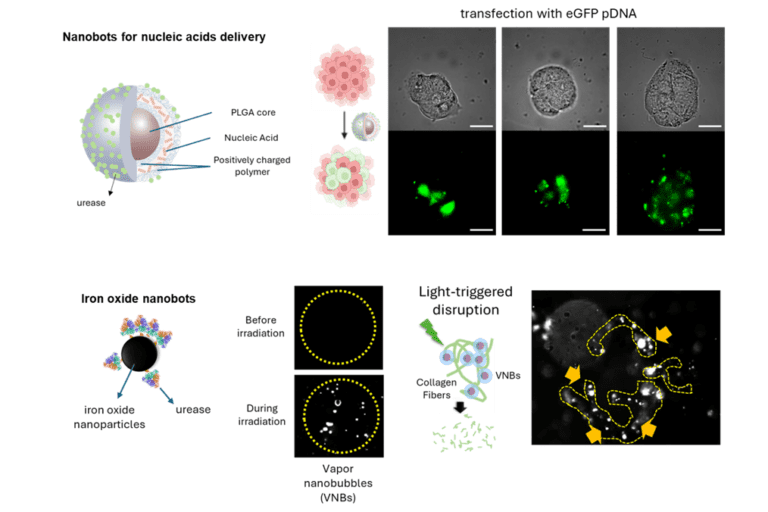 Smart nano-bio-devices - Institute for Bioengineering of Catalonia