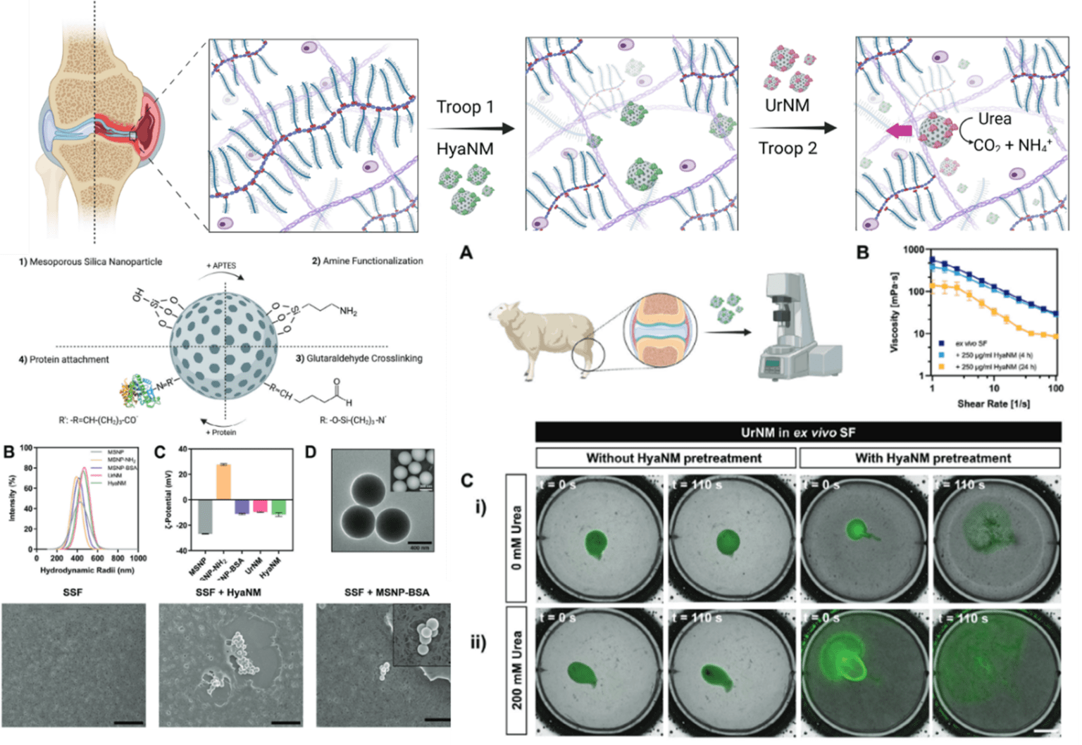 Smart nano-bio-devices - Institute for Bioengineering of Catalonia