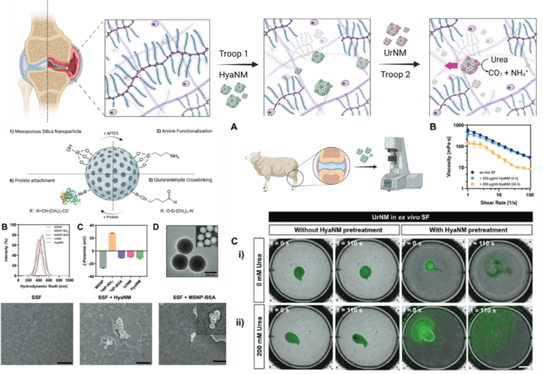 Smart nano-bio-devices - Institute for Bioengineering of Catalonia