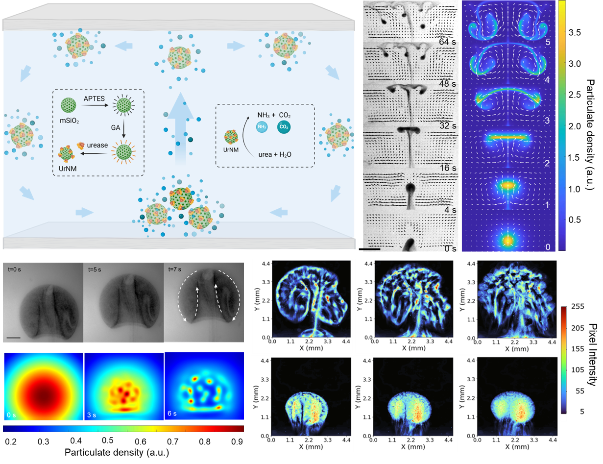 Smart nano-bio-devices - Institute for Bioengineering of Catalonia