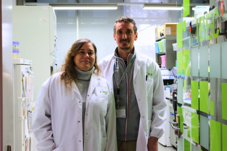 Institute for Bioengineering of Catalonia Bioengineering solutions for ...