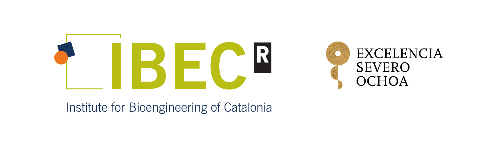Corporate image - Institute for Bioengineering of Catalonia