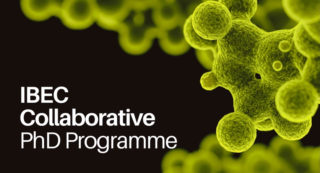 IBEC Collaborative PhD Programme - Institute for Bioengineering of ...