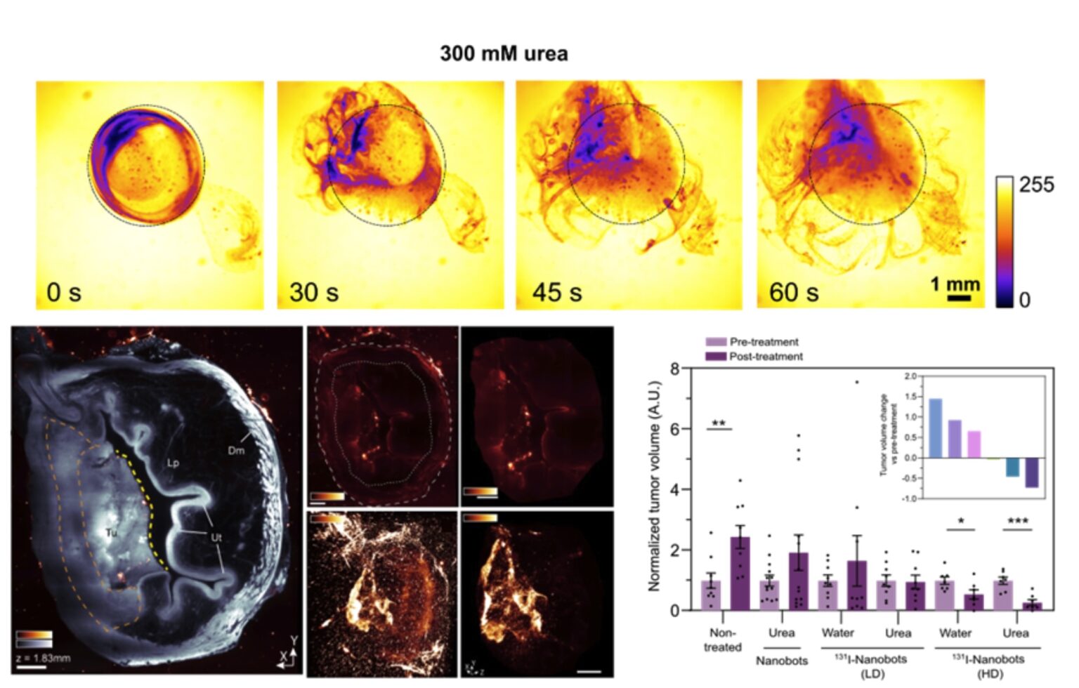 Smart nano-bio-devices - Institute for Bioengineering of Catalonia